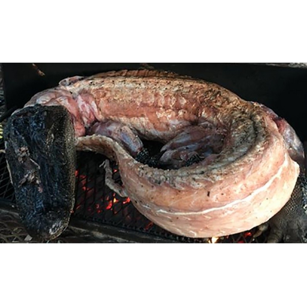 Where Can I Buy a Whole Skinned Alligator? Cajun.com Has You Covered